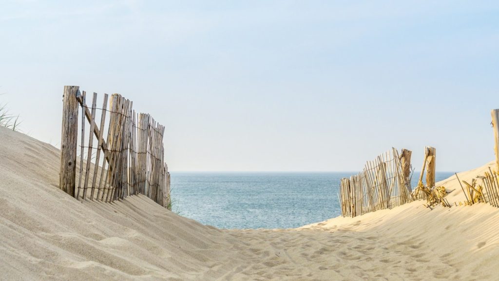 How to Plan the Perfect Cape Cod Summer VacationCaptain Farris House